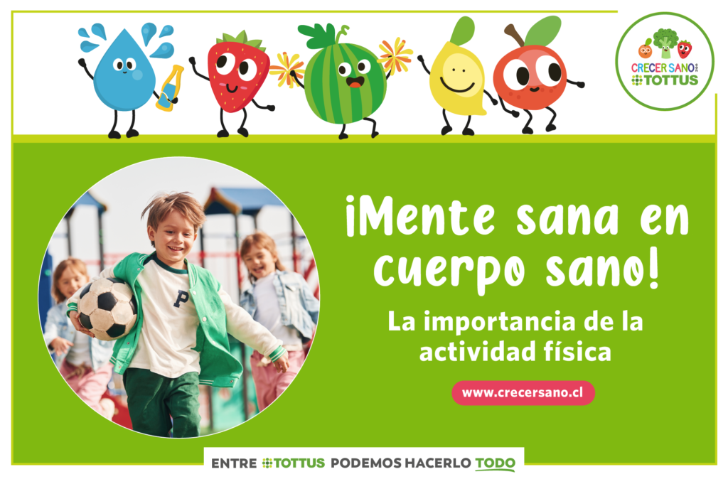 Hábitos y estilos de vida saludable – Escuela Cooperativa Lircay de Talca
